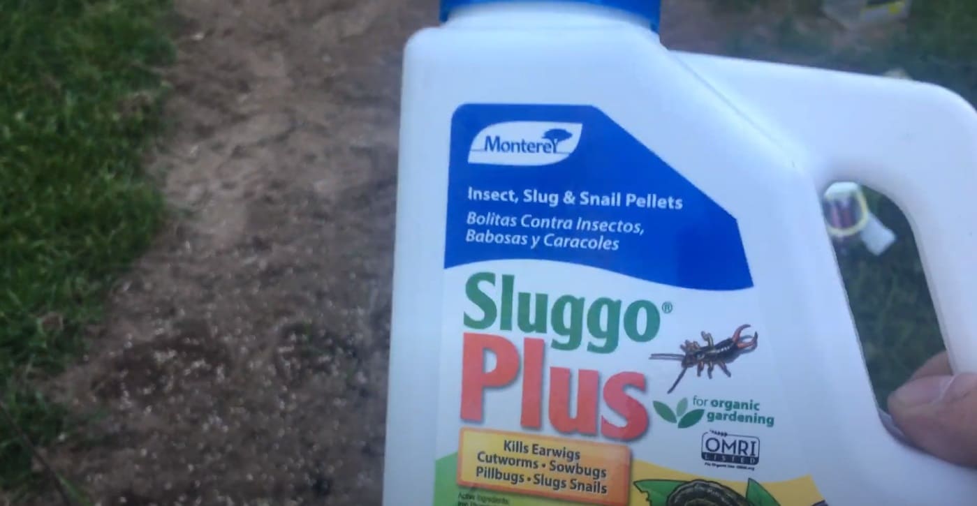 Sluggo Plus Official Website - Premium Slug Killer