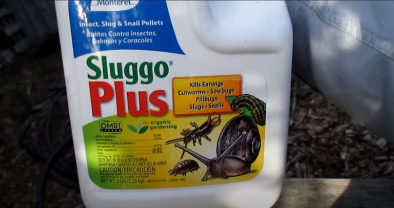 Sluggo Plus Official Website - Premium Slug Killer